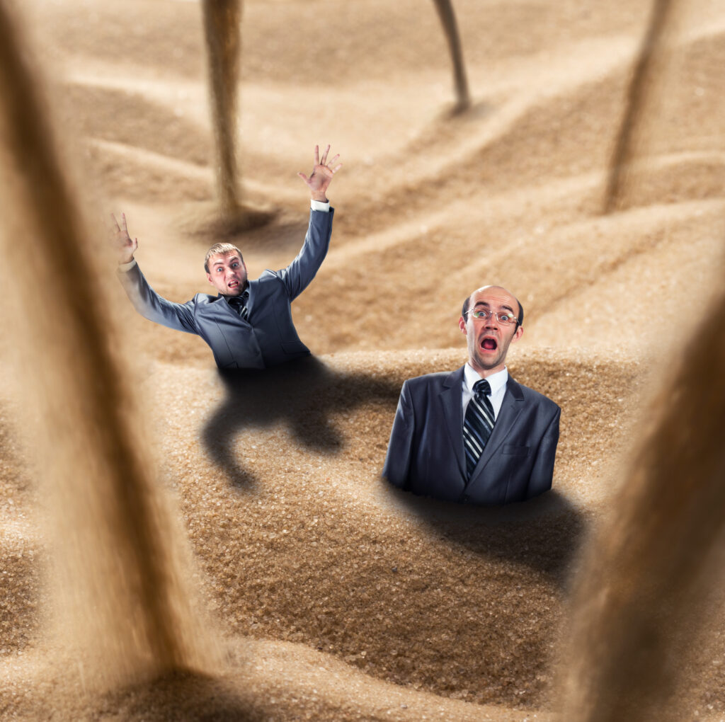 AI on Quicksand – Doug McDee Strategists